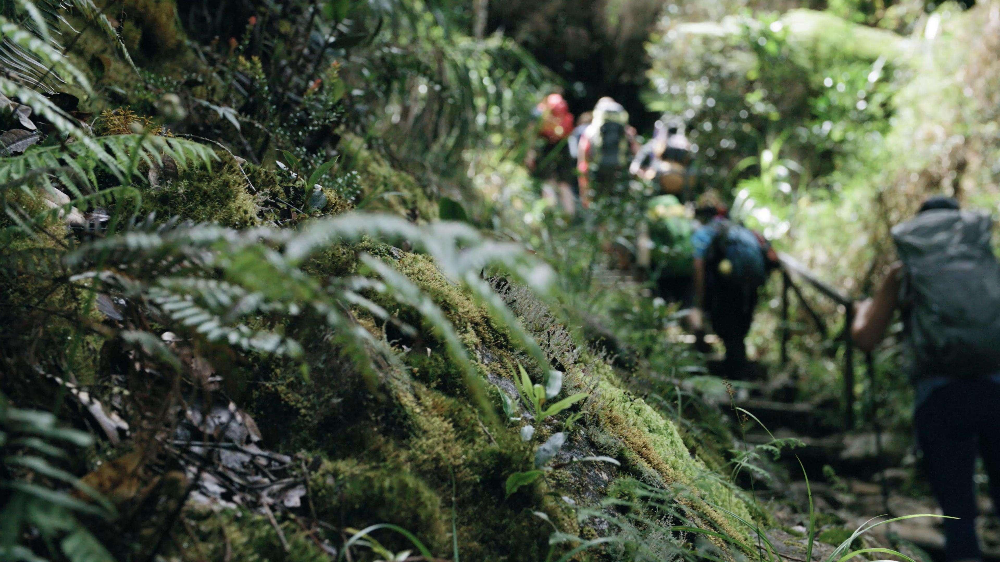 Système d'abonnement pour les amateurs de randonnée et trekking | Solutions de création d ...